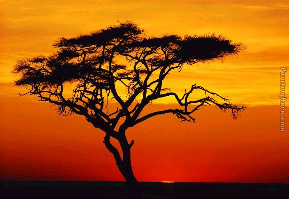 2010 Sunset tree painting anysize 50% off